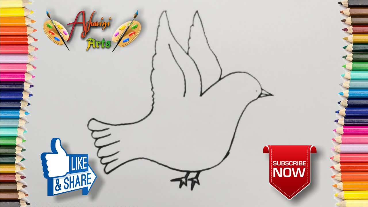 How To Draw Pigeon Step By Step Easy Drawing Tutorial YouTube how-to-draw-pigeon-step-by-step-easy-drawing-tutorial-youtube