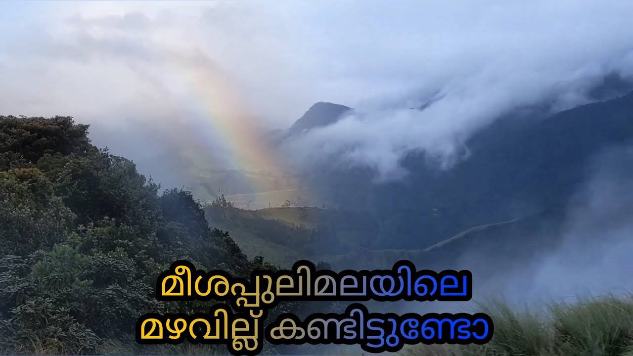 Munnar: A Piece of Heaven on Earth | Wild Sherpas Tenting And Camping ...