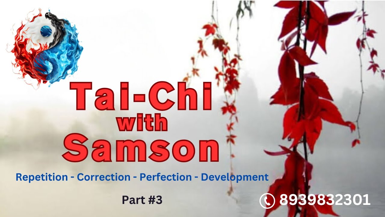 Tai-Chi with Samson # 3 Repetition : Correction : Perfection ...