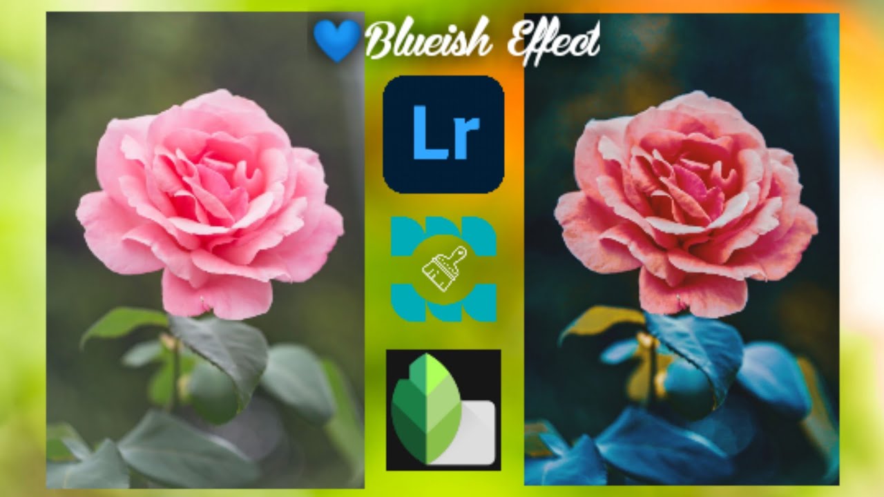 Get Bluish Effect In Just 5 minutes |flower 🌸 Effects|Photo Edi| - YouTube