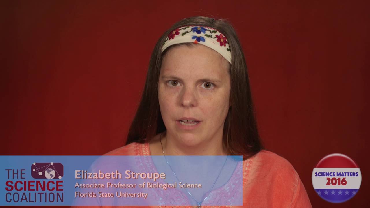 Elizabeth Stroupe, Florida State University - YouTube