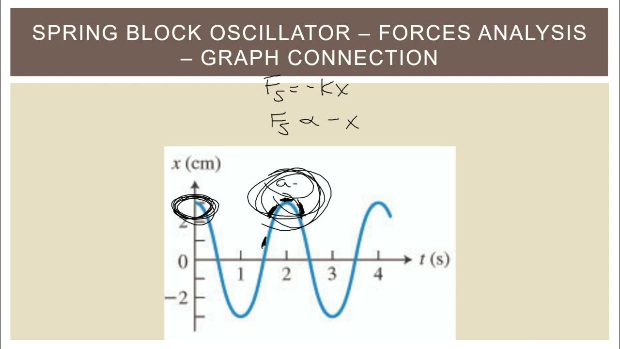 AP Physics - Simple Harmonic Motion - Spring Block Oscillator - Forces Analysis - YouTube