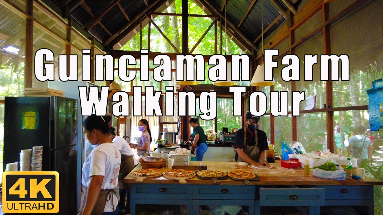The Farm at Guinciaman | San Miguel, Leyte | Virtual Tour 4K ...