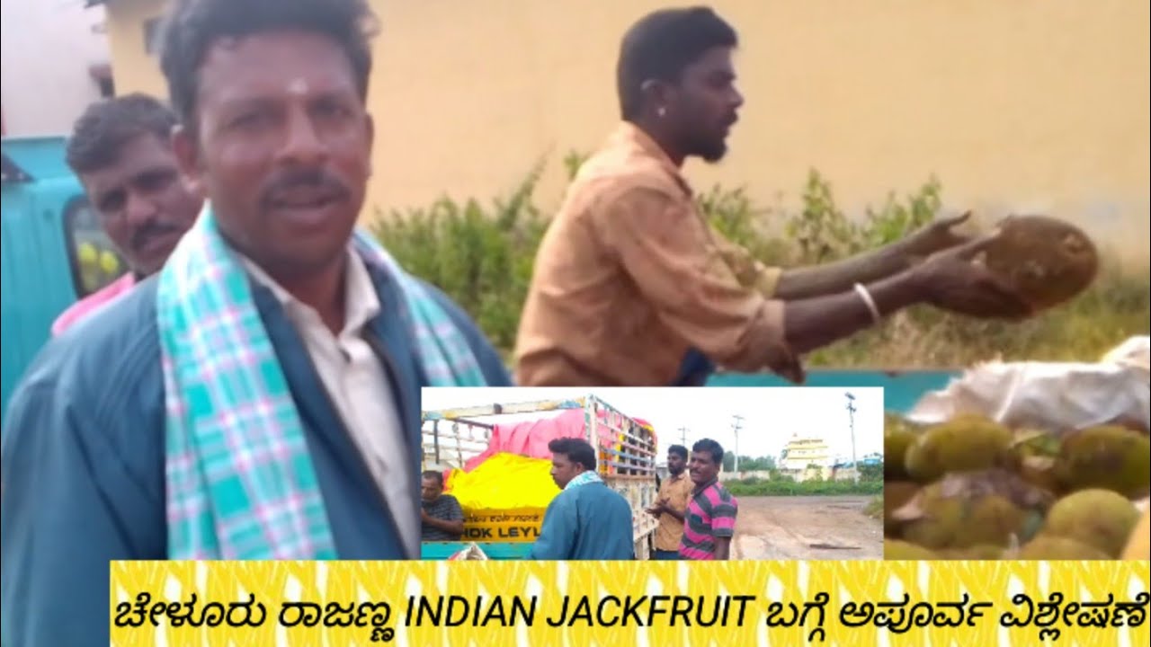 karnul ghouse purchased jackfruits at cheluru jackfruit market ...