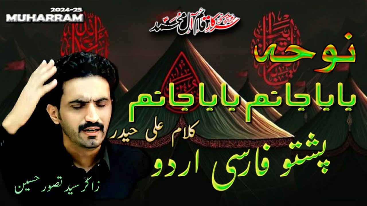 Noha || Baba Janam Baba Janam || Zakir Syed Tasawaar Hussain New Noha ...