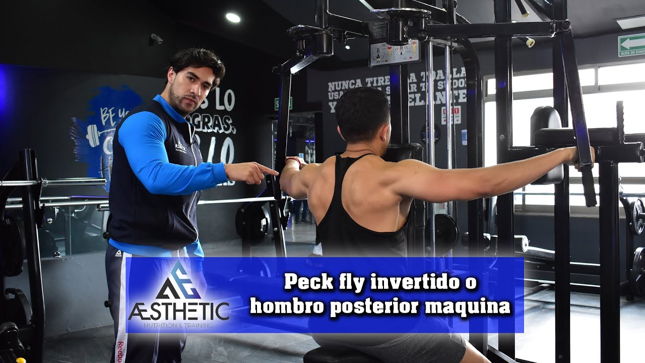 Peck fly invertido o hombro posterior maquina - YouTube