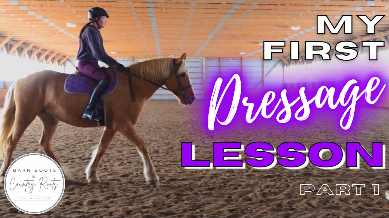 FIRST DRESSAGE LESSON WITH MY NEW COACH: PART 1 | VLOG - YouTube