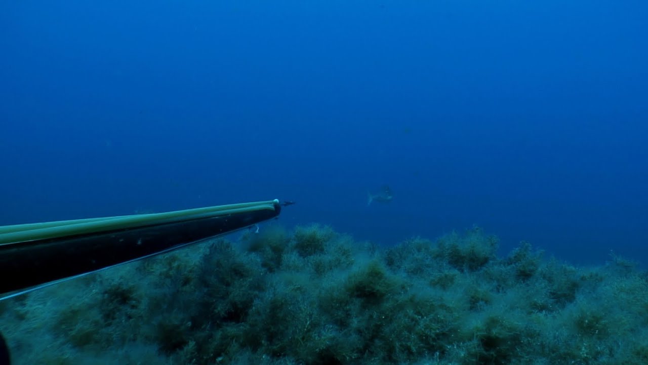 SPEARFISHING DOCUMENTARY TA THIRAMATA & TA MISTIKA TOYS - THE DENTEX (H ...