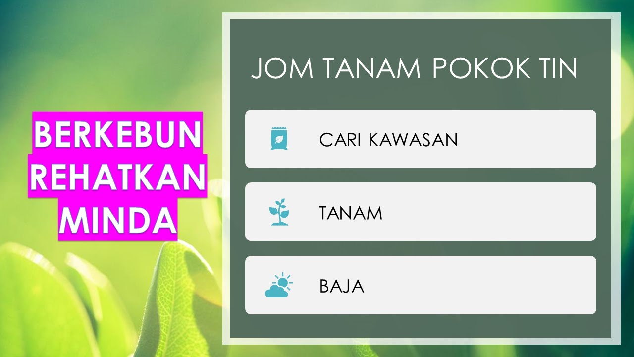 Pokok tin di luar pagar ambil galah tolong jolokkan - YouTube