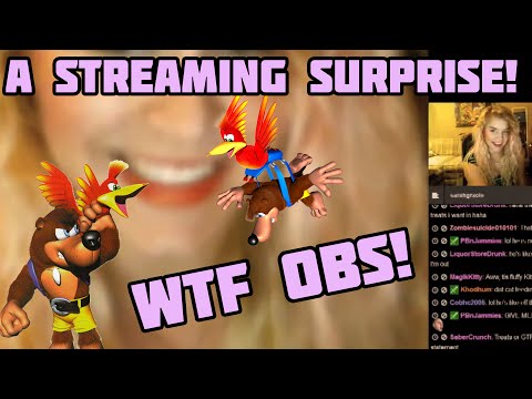 LOL a streaming obs surprise