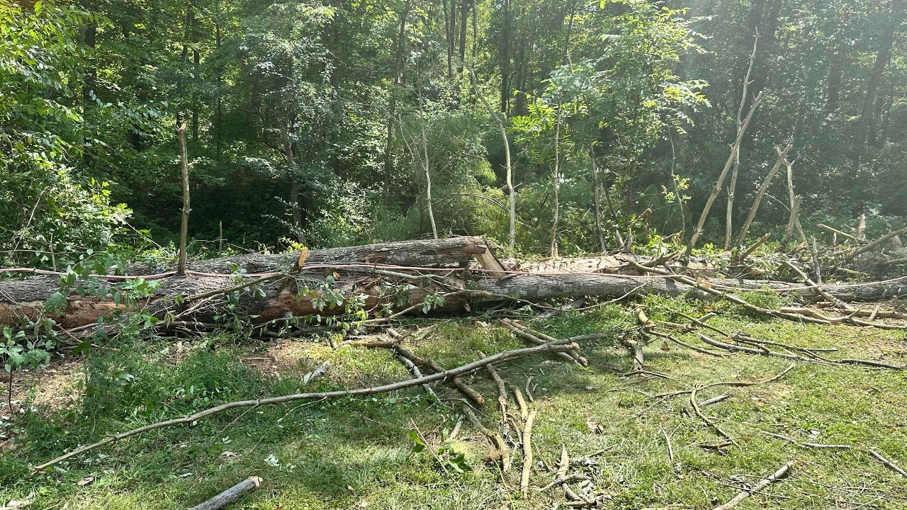 Cutting Trees. #back forty firewood #ohio wood burner #firewood at the ...