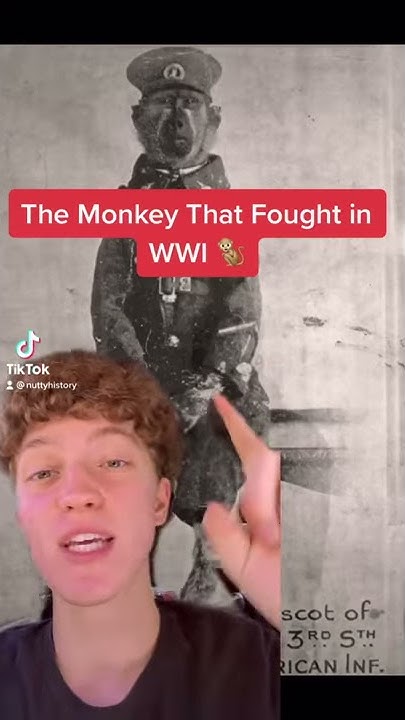 The Monkey That Fought in WWI #shorts - YouTube