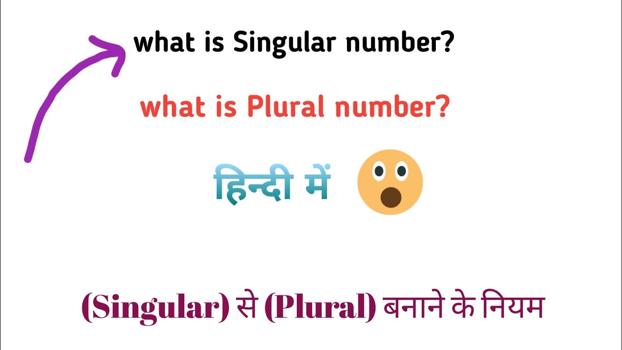 what is noun number? संज्ञा वचन किसे कहते हैं? (Singular) और (Plural ...