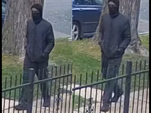 Video surveillance footage of Chicago serial killer suspected in Rogers ...