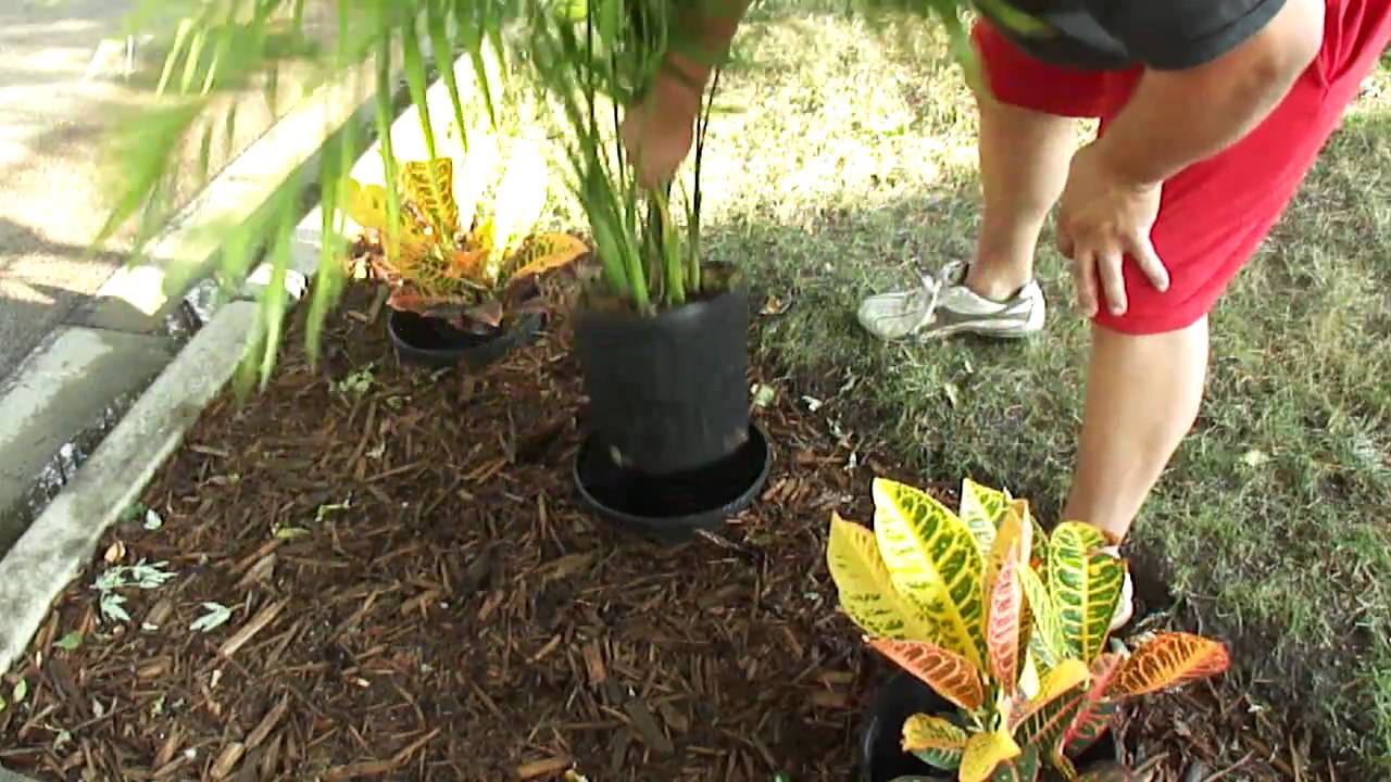 Pot-in-Pot Method - Extreme Landscaping in Minnesota - YouTube