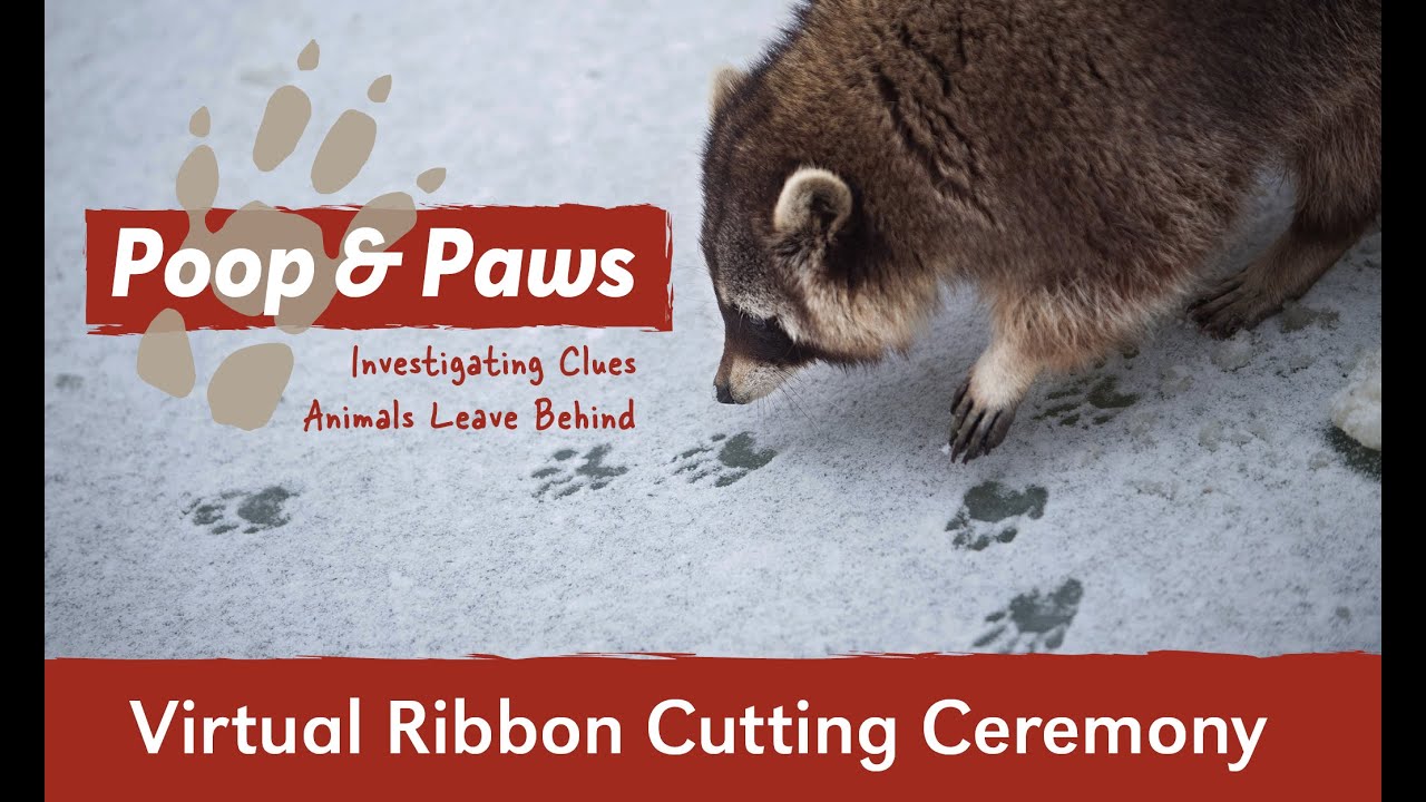 UNSM Morrill Hall's "Poop & Paws" Exhibit Virtual Ribbon Cutting - YouTube