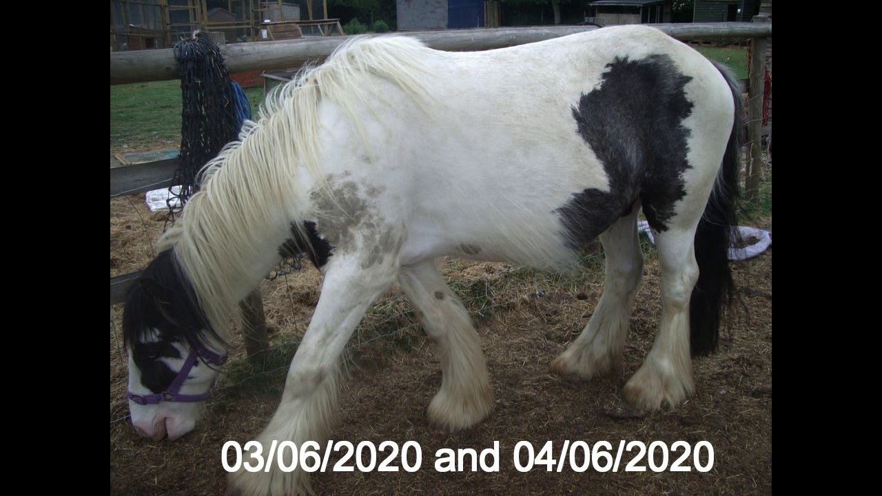 Adam knows best - YouTube