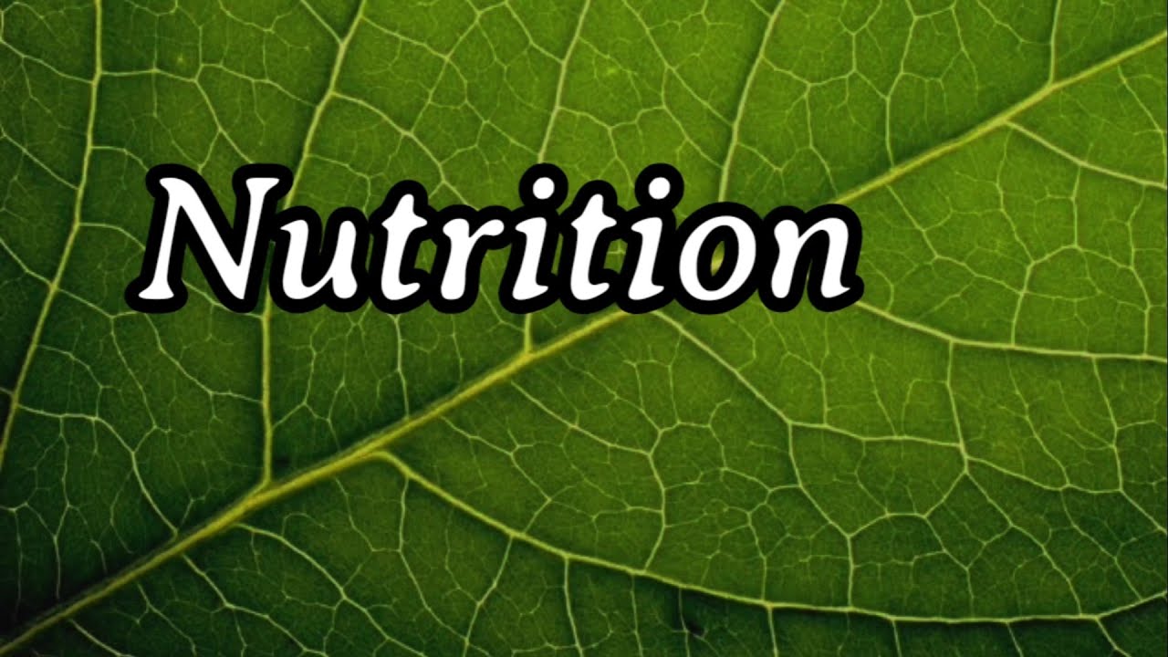 Nutrition - YouTube