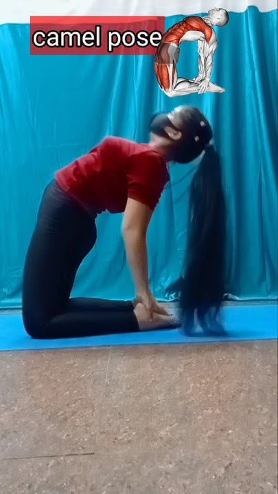 camel 🐪 pose#उष्ट्रासन#backexercise #exercise #youtubeshorts #yoga # ...