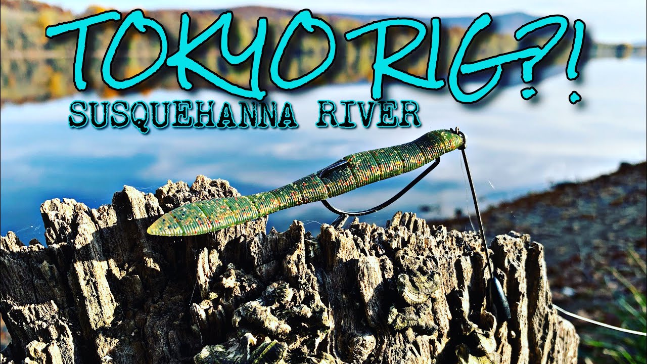 VERSATILITY Of The LEECH For SMALLMOUTH BASS! (Jig & Tokyo Rig) - YouTube