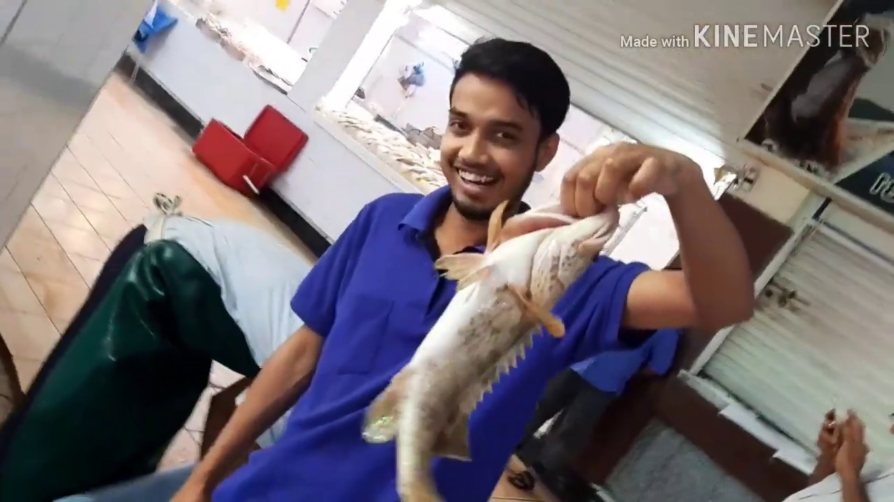 Toyota fish market - YouTube