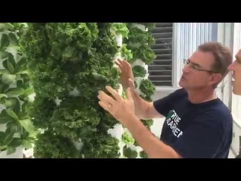 True Garden is using Aeroponics Towers to Grow Inside during Arizona ...