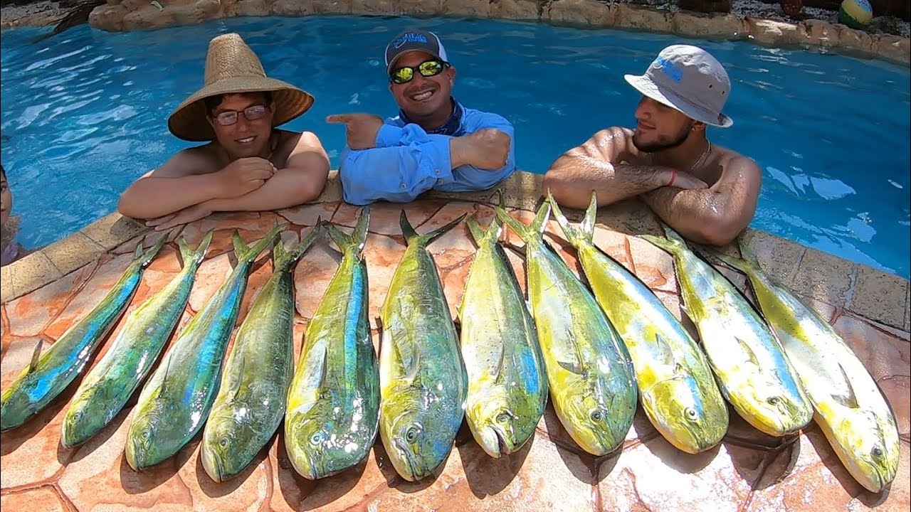 How to catch Dolphin : Offshore fishing tutorial - YouTube