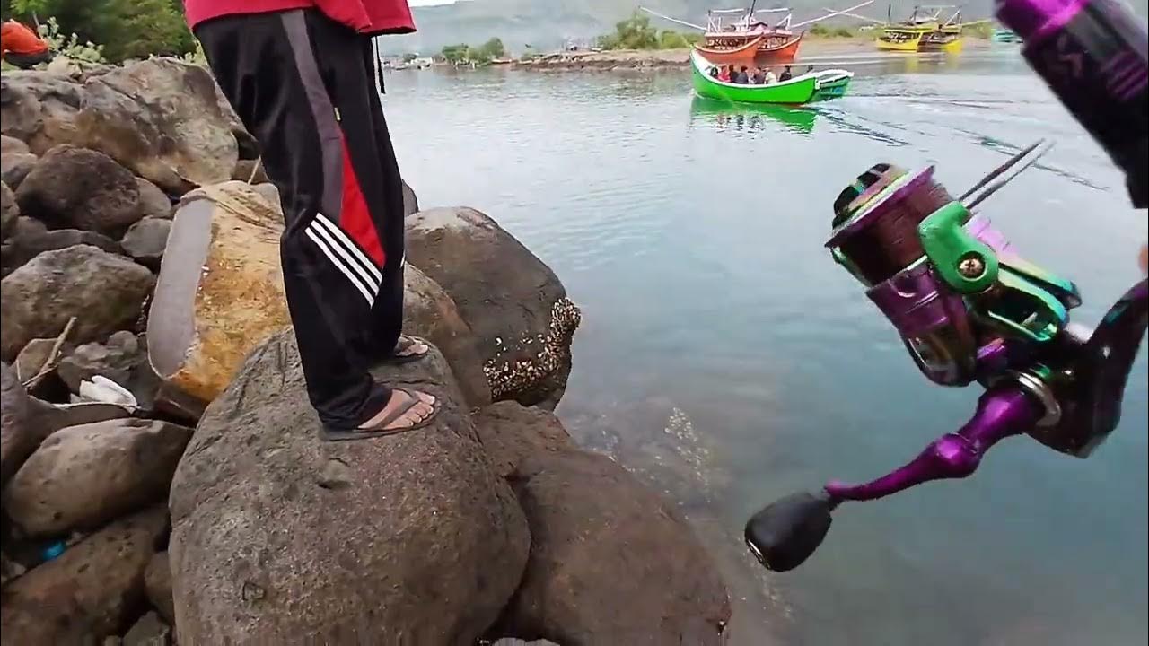 Umpan baru jatuh langsung di sambar bos qu🎣 - YouTube