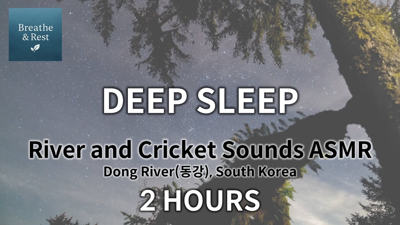 [2HOURS] 🌙 Deep Sleep - River and Cricket Sounds ASMR (깊은 숙면, 동강 - 방울벌레 ...