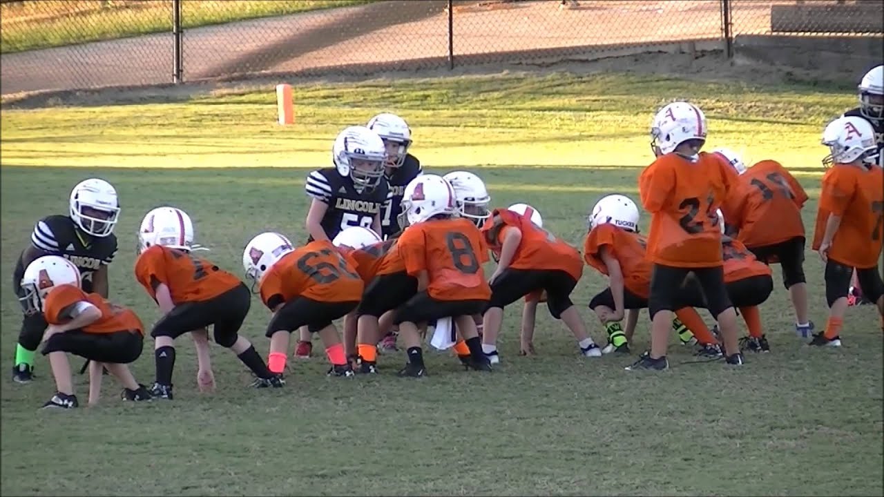 Bears vs Alexandria Valley Cubs 2016 - YouTube