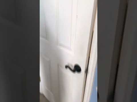 Morgan squeaky balloon farts￼