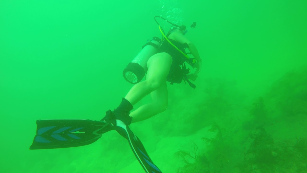 Looe Key Dive 10 (Part 2 of 4) - YouTube