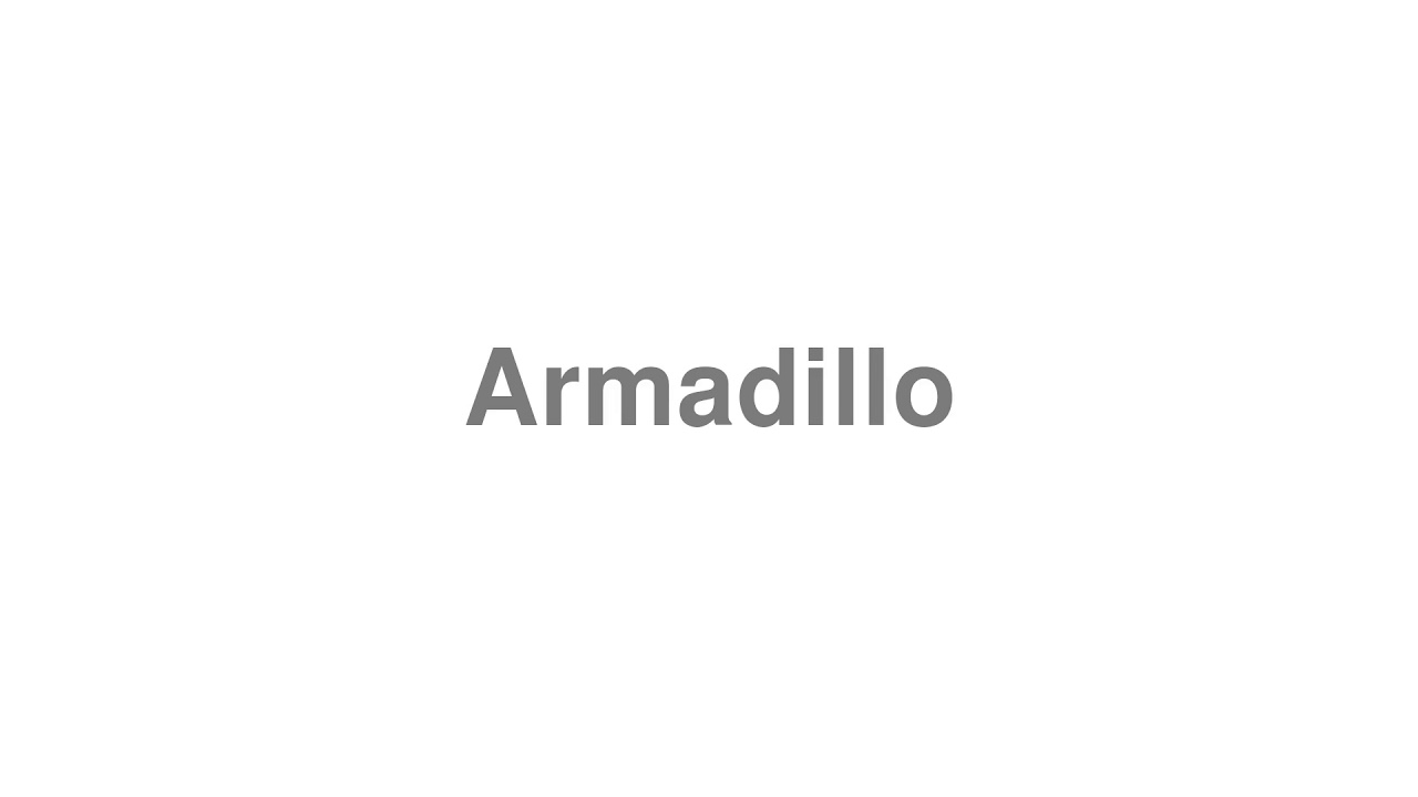 How to Pronounce "Armadillo" - YouTube