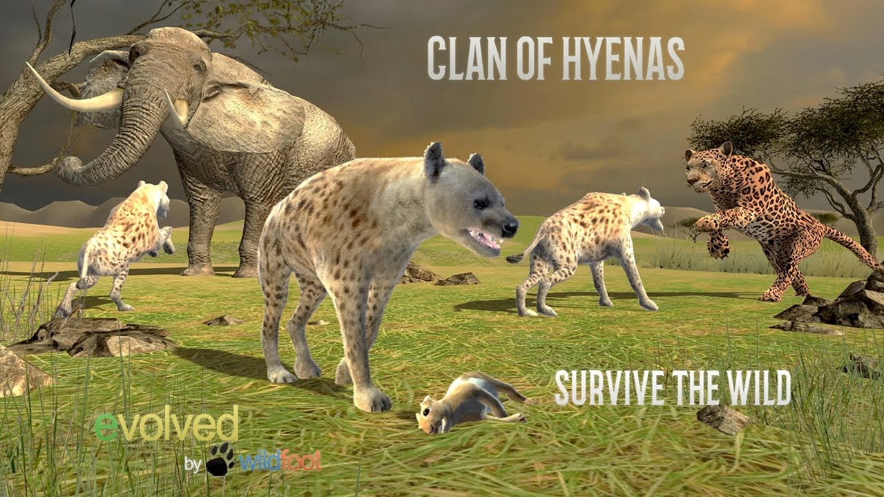 Clan of Hyena (by Wild Foot Games) Android Gameplay [HD] - YouTube