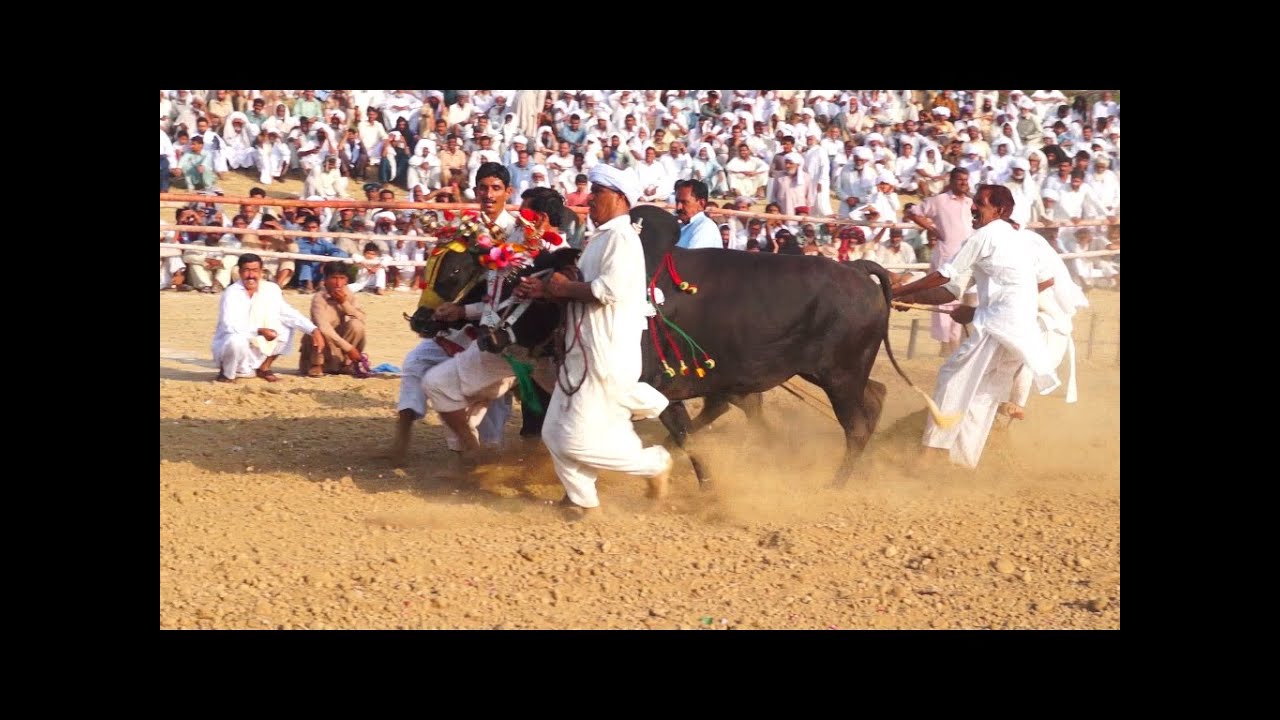 Jalsa Karah Talagang Chakawal2019 |Jalsa Karah Mureed |Jalsa karah ...