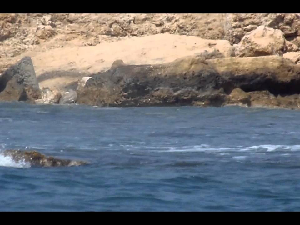 lqto 2012 toggo - YouTube