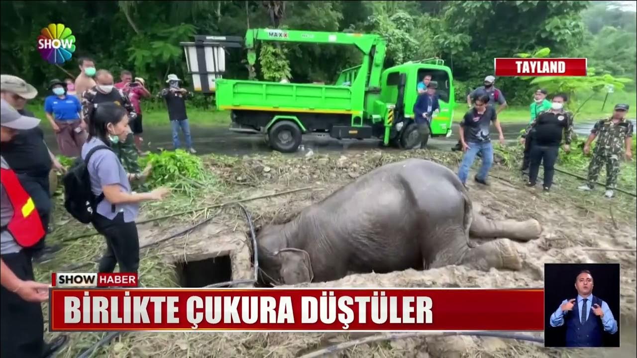 SHOW TV KISA KISA - YouTube