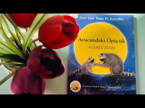 Avucundaki Öpücük | Sesli Masal Dinle | Çocukların En Sevdiği Masallar