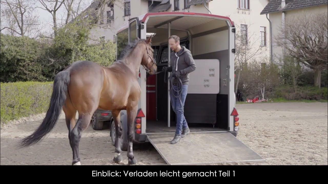 Einblick Verladen leicht gemacht Teil 1 - YouTube