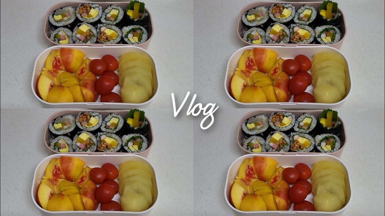 Vlog 자취브이로그 도시락 싸서 출근하기 집밥과 배달 그 사이 고추장찌개 소불고기 오리훈제찜 베이글 유부