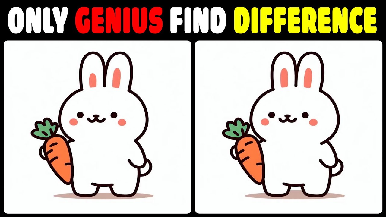 Spot The Difference : 4 Difference Spots to Find in 90 Second [ Find ...