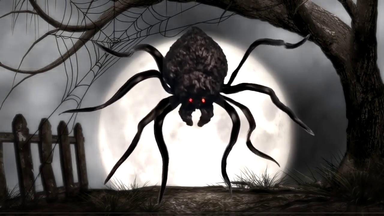 Hanging Shaking Spider - YouTube