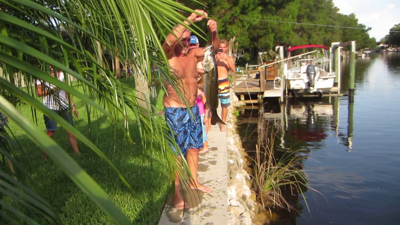 Dock fishing in Homosassa, FL - YouTube