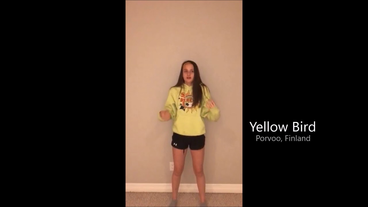 2018 Molly Math Angry Bird Project - YouTube