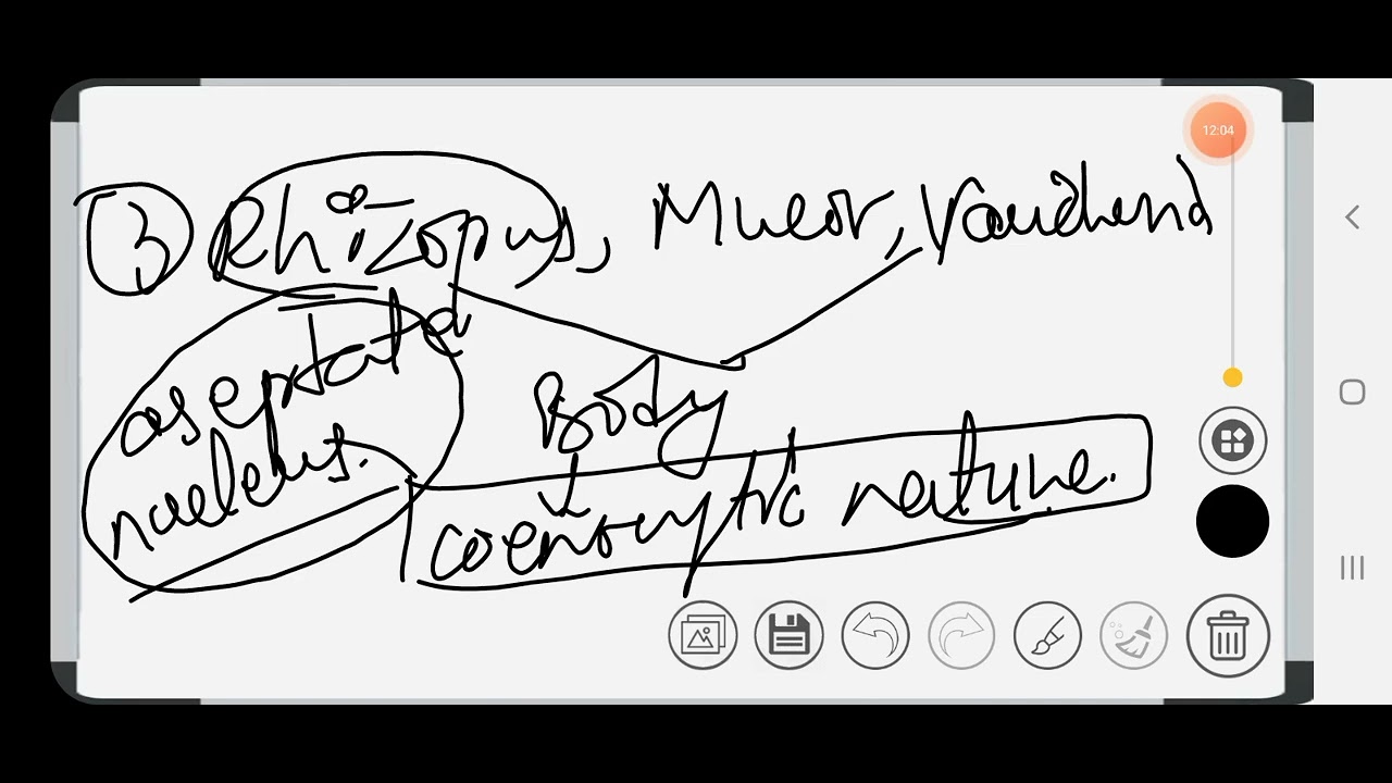 Cell Biology CEE Notes and Explanation.. - YouTube