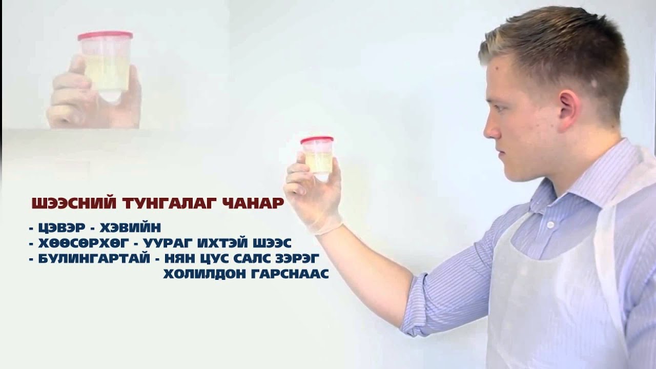 Sheesnii shinjilgee - YouTube