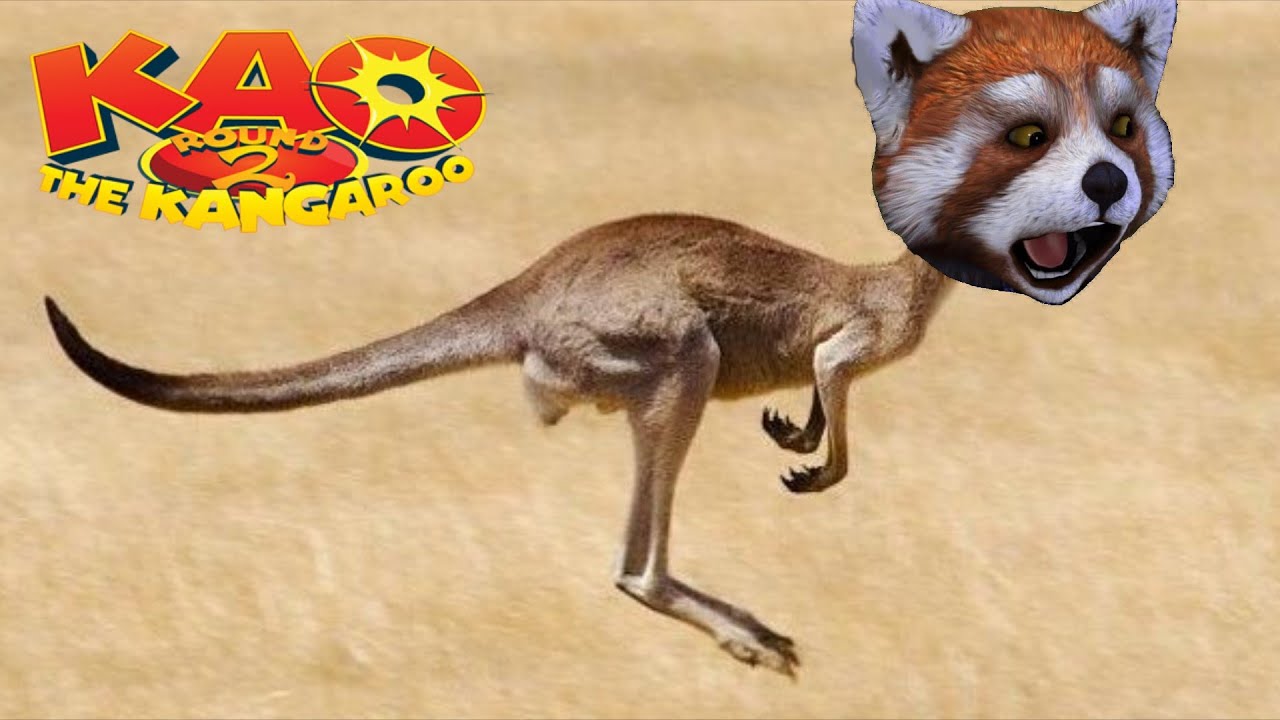 Ich bin ein Kangaroo | 𝗞𝗮𝗼 𝘁𝗵𝗲 𝗞𝗮𝗻𝗴𝗮𝗿𝗼𝗼: 𝗥𝗼𝘂𝗻𝗱 𝟮 (Epic) 🥊 #02 - YouTube