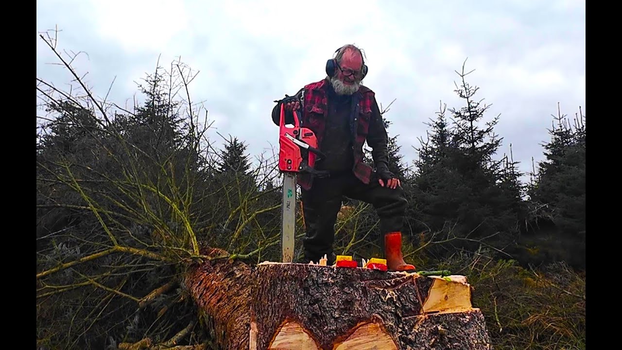 Stihl 070 090Tiny Chinese 58c down 5ft girth 120ft Sitka doubler1 More ...