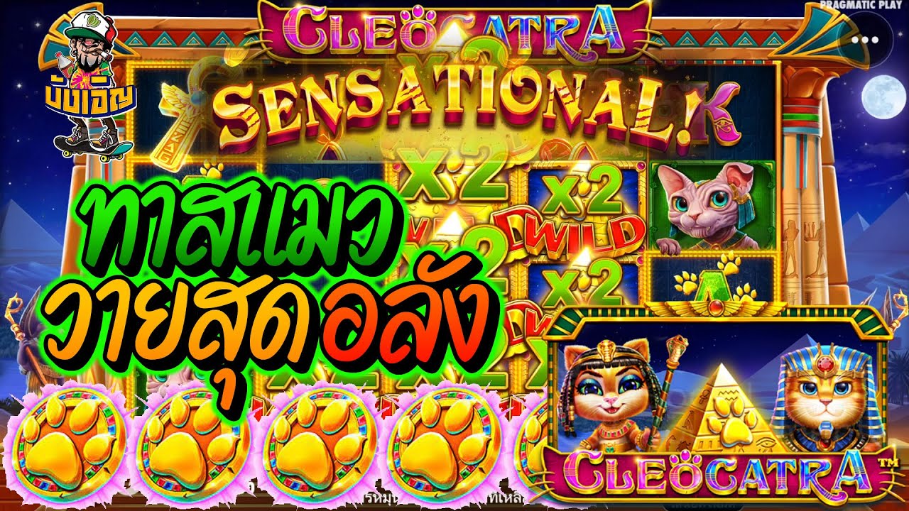 เกมส์PP Cleo Catra - ทาสแมว วายสุดอลัง - YouTube