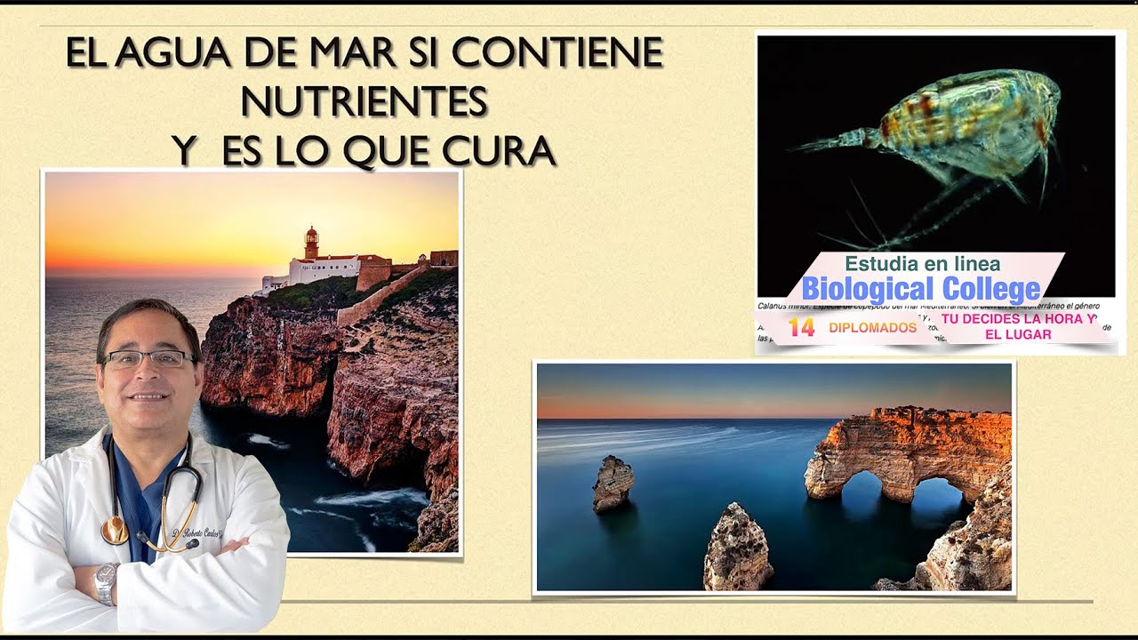 El agua de mar contiene nutrientes y son los que curan. - YouTube